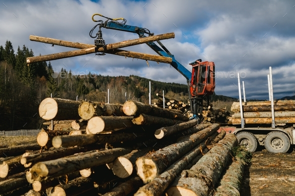 Crane loading wood into wood truck and the wood grapple holding logs in ...
