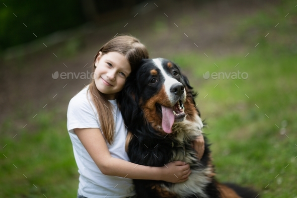 Child hugs Bernese Mountain Dog pet in the park outdoor, kids and ...