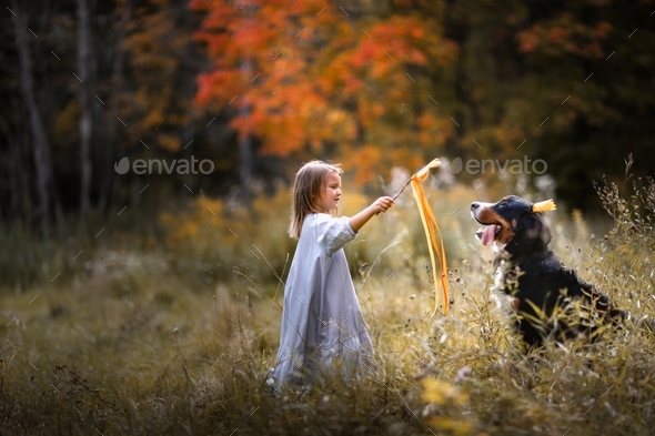 girl princess conjuring a dog in a crown, children's fantasy and games ...