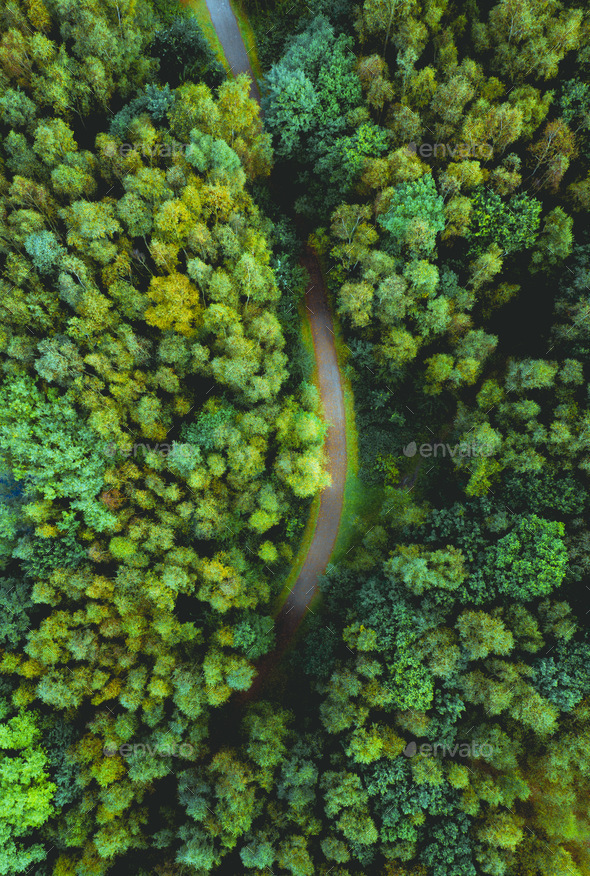 Aerial view of a public footpath winding its way through woodland a ...