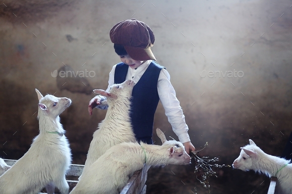 boy with goats Stock Photo by katyatsiganok | PhotoDune