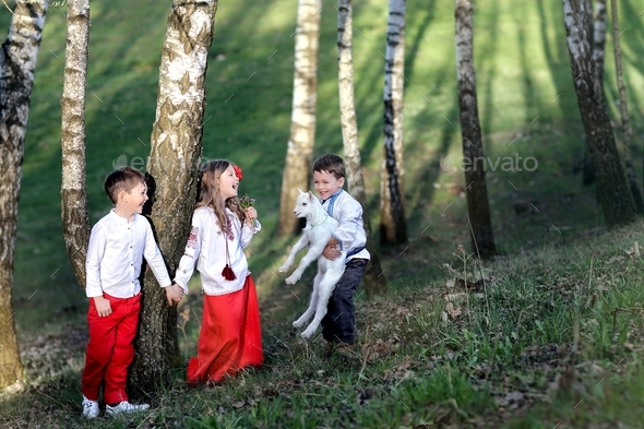 Spring. a boy and a girl in the spring forest walk with goats Stock ...
