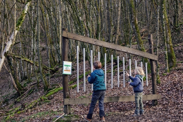 xylophone musical instrument in the forest for fun, brothers trying to ...