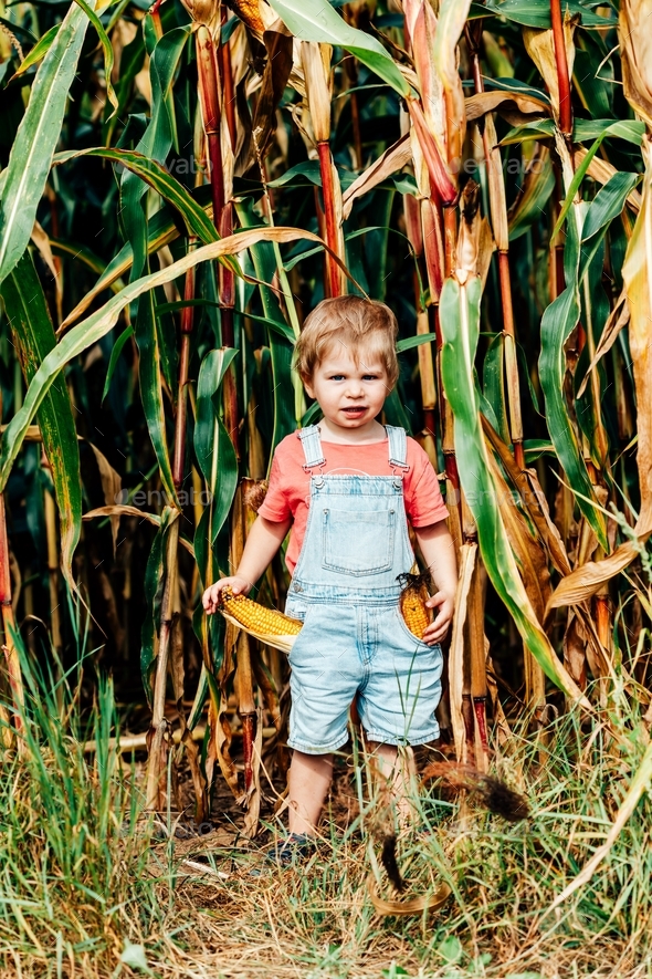 Boy in denim overall holding yellow corn in his pockets and standing ...