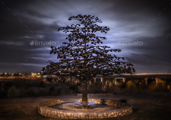 Tree of solitude Stock Photo by ChrisFloresFoto | PhotoDune