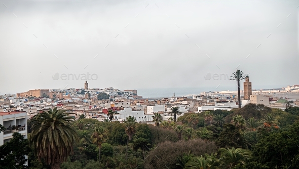 Townscape; Casablanca; Morocco: Middle East; Islam; houses; greenery ...