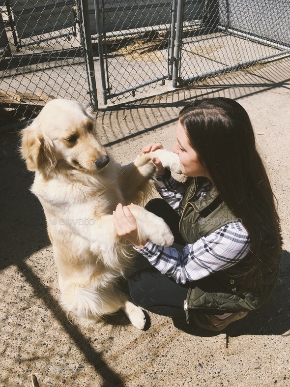 Dog hugs Stock Photo by Aschmidt0073 | PhotoDune