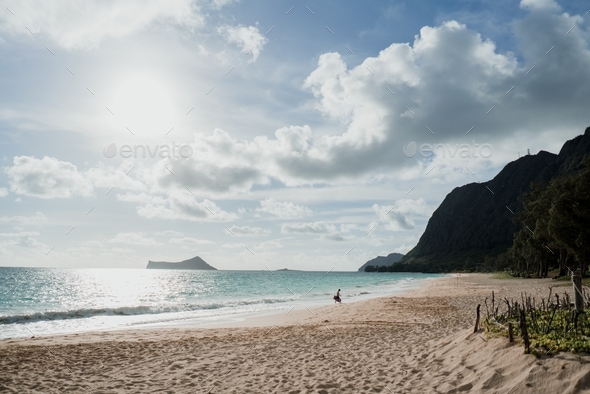 Hawaii tropical sunny beach scene surf sand sun Stock Photo by doodiebearz