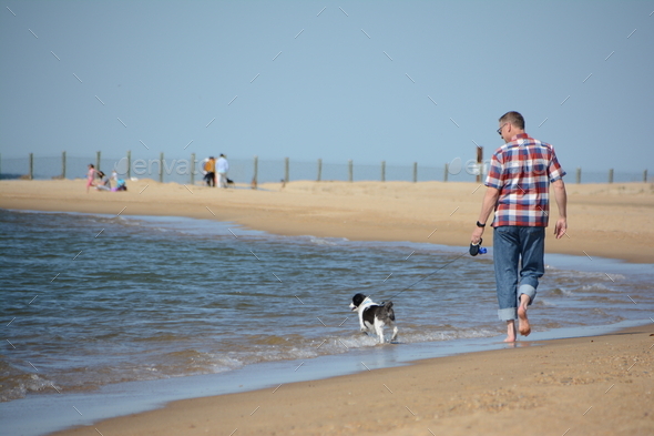 Dog enjoyed beach day with his owner Stock Photo by Threetails05 ...