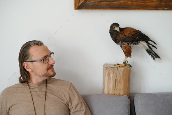 Man with eagle at home. Bird pet in hands Stock Photo by ninelutsk