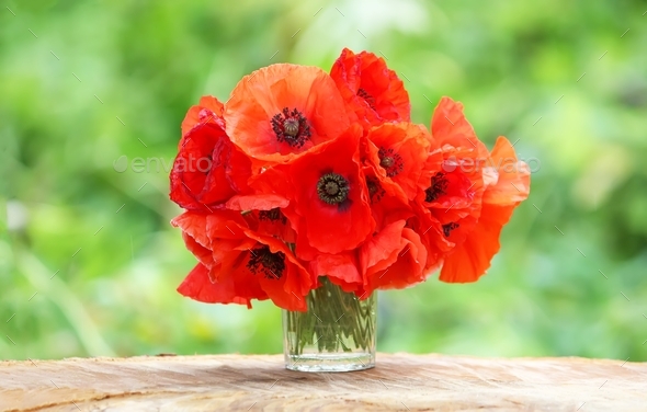 Bouquet of red poppy flowers on tree stump outdoors. Stock Photo by ...