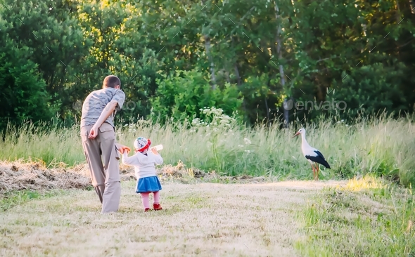 Father and daughter looking at the white stork bird in the countryside ...