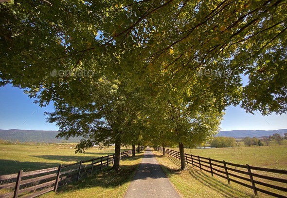 Country road wide angle trees and fences symmetrical Stock Photo by ...