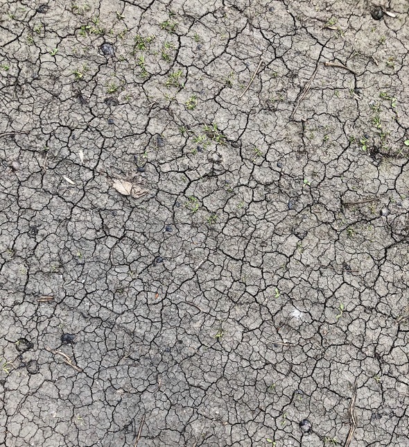 Overhead photo of dry ground Stock Photo by lindaze | PhotoDune