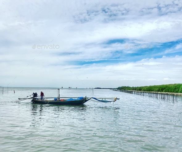 A fishing boat reaching to the shore full with mangrove with blue sky ...