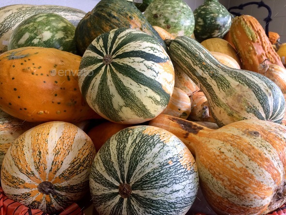 Side view of Fall gourds & vegetables with the colors of the season ...