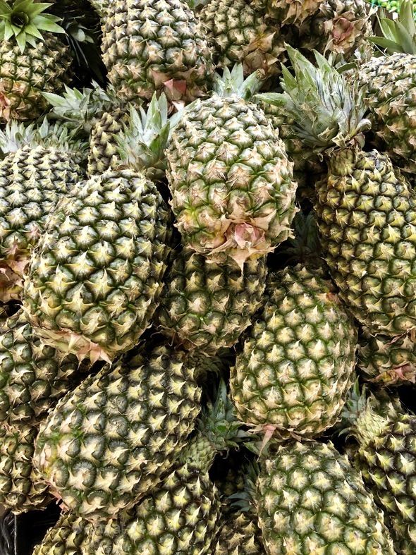Overhead of fresh textured tropical pineapples. background wallpaper or ...