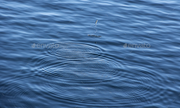 Little fish jumping in & out of the blue ocean forming circles as ...