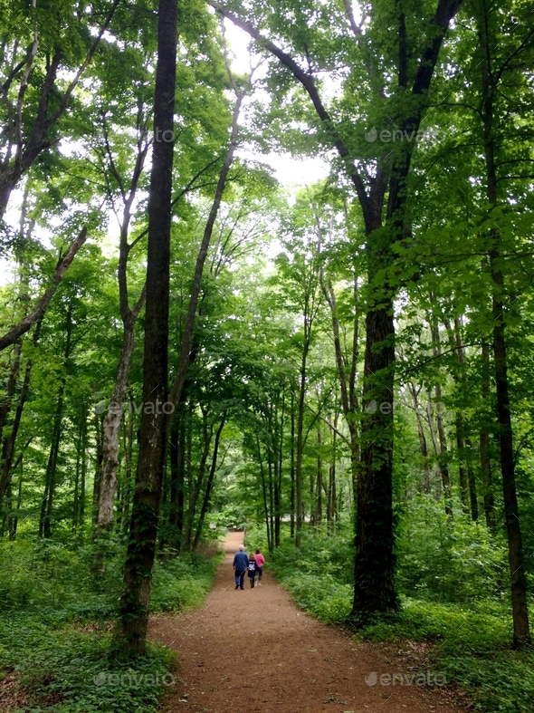 Tiny humans hiking in the forest with a beautiful trail filled with ...