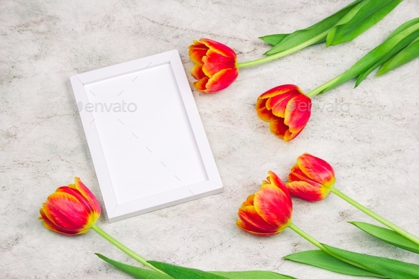 top view blank white frame and tulips frame on a marble background ...