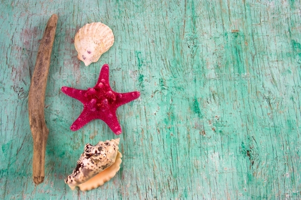 top view sea shells mint green background copy space,summer travel ...