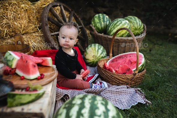 Little funny boy eating watermelon. A funny and emotional child is ...