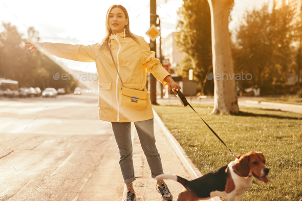 Woman catching car on road with dog on leash Stock Photo by kegfire