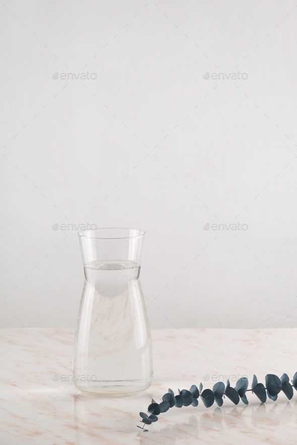 Modern water decanter with eucalyptus branches in minimalism style ...