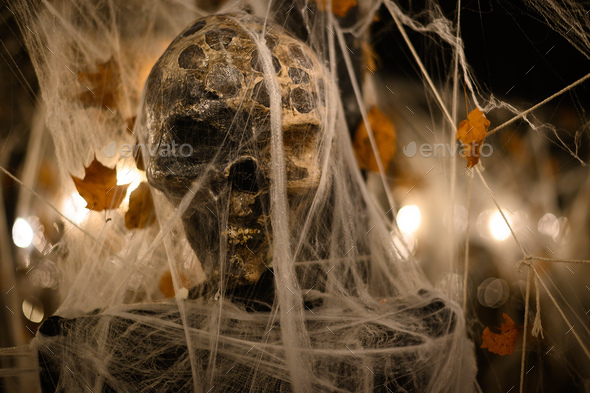 Skeleton decoration for Halloween wrapped in spider web and tissue ...