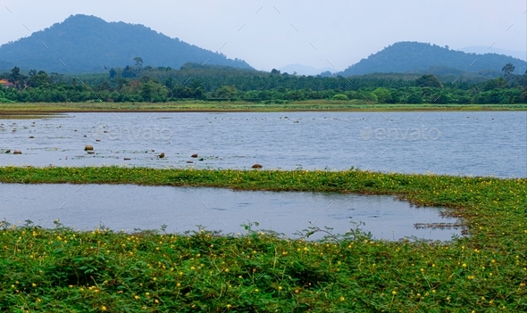Lake view at Machap Lake, Melaka, Malaysia. Stock Photo by risinglegacy25