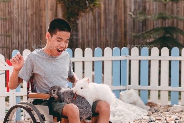 Disabled child sitting on wheel chair feeding rabbits in zoo Stock ...