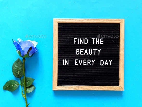 Find the beauty in every day Stock Photo by wanaktek | PhotoDune