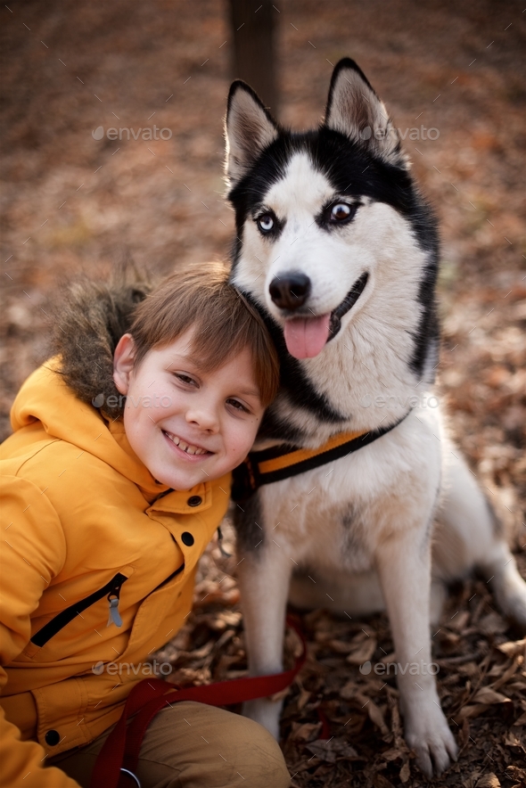 Boy hugs his best friend husky Stock Photo by Marinabars_photo | PhotoDune