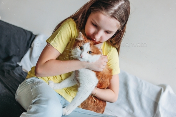 Cute tween girl in yellow t-shirt with her white cat at home Stock ...