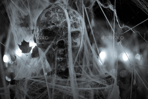 Skeleton decoration for Halloween wrapped in spider web and tissue ...