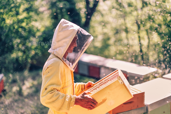 bees keeping and honey production - beekeeper holding beehive around ...