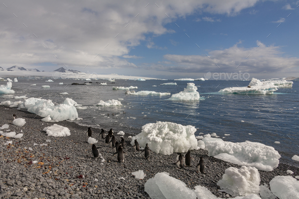 Brown Bluff on the Tabarin Peninsula - Antarctica Stock Photo by ...
