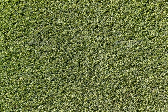 Background from green spring grass. Texture. Backdrop. Stock Photo by ...