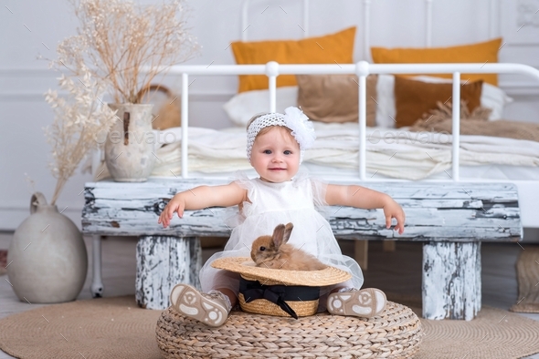 beautiful little girl in a white dress sits with a rabbit in a white ...
