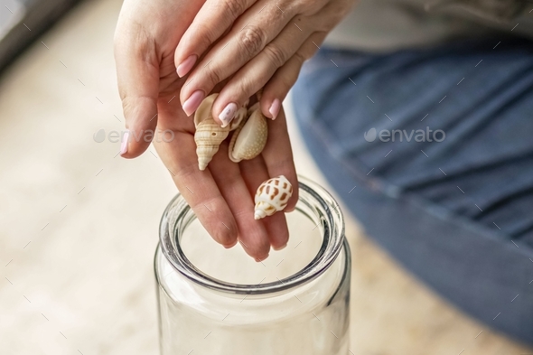 Women's hands hold seashells. Puts the shells in a glass jar. Beach ...