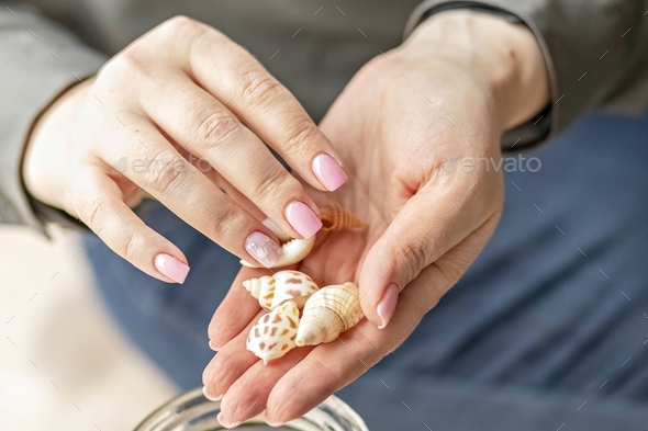 Women's hands hold seashells. Puts the shells in a glass jar. Beach ...