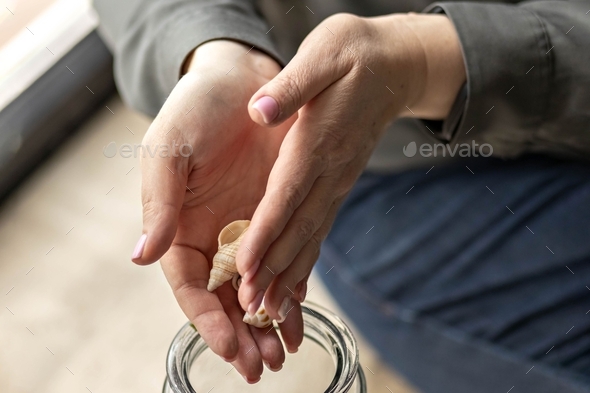 Women's hands hold seashells. Puts the shells in a glass jar. Beach ...