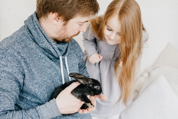 Rabbit dad Images - Search Images on Everypixel