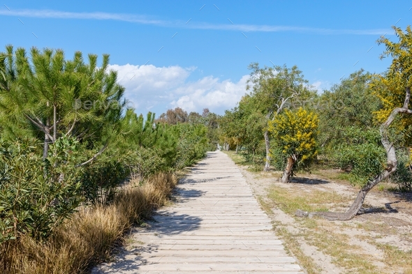 wooden path and entrance to the famous Turkish beach of Patara with ...
