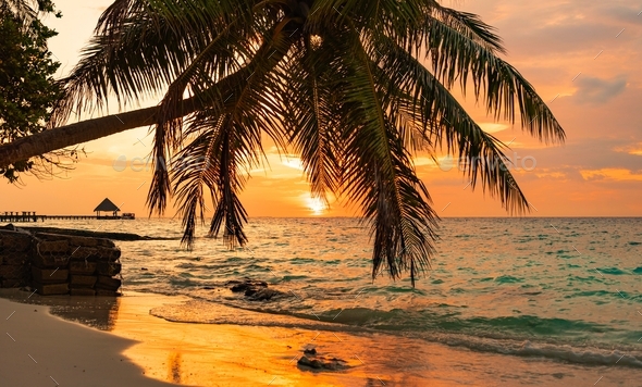 picturesque sunrise in the Maldives island, the sun rising from the ...