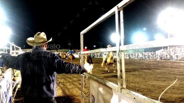 People from behind working the rodeo calf roping corral at nighttime ...