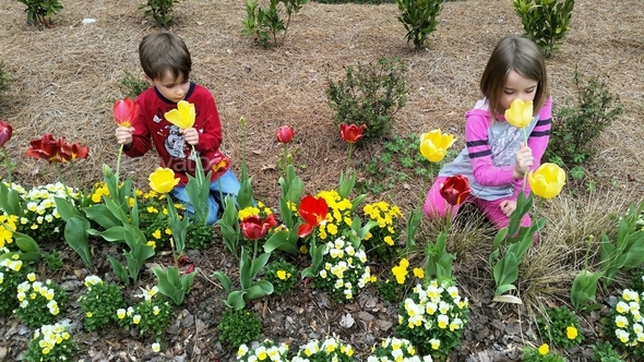 Kids enjoying springtime.. Stock Photo by Beachbumledford | PhotoDune