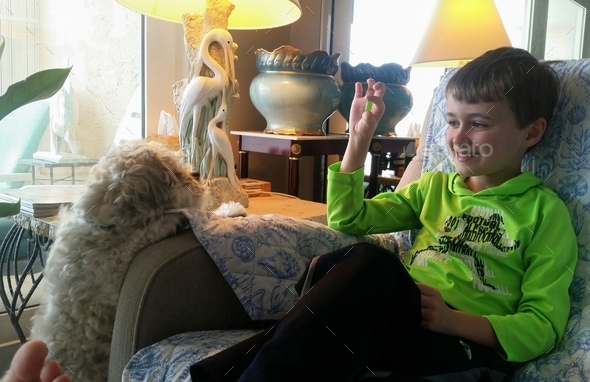 Cute Gen z kid has a treat for begging doggie and teasing her first ...