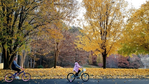 Generation z sisters having fun in fall as people in fall. Stock Photo ...