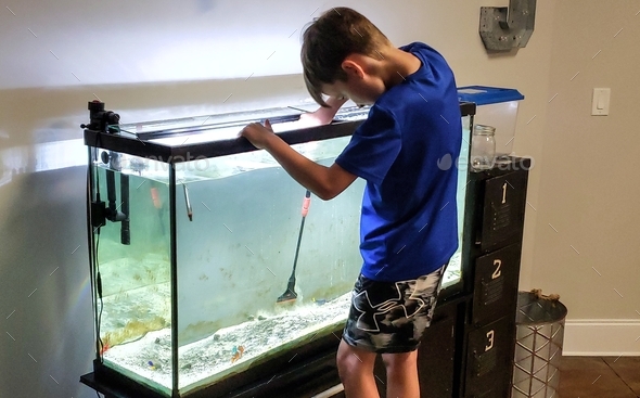 Responsible Gen z kid keeping large fish aquarium cleaned in people and ...